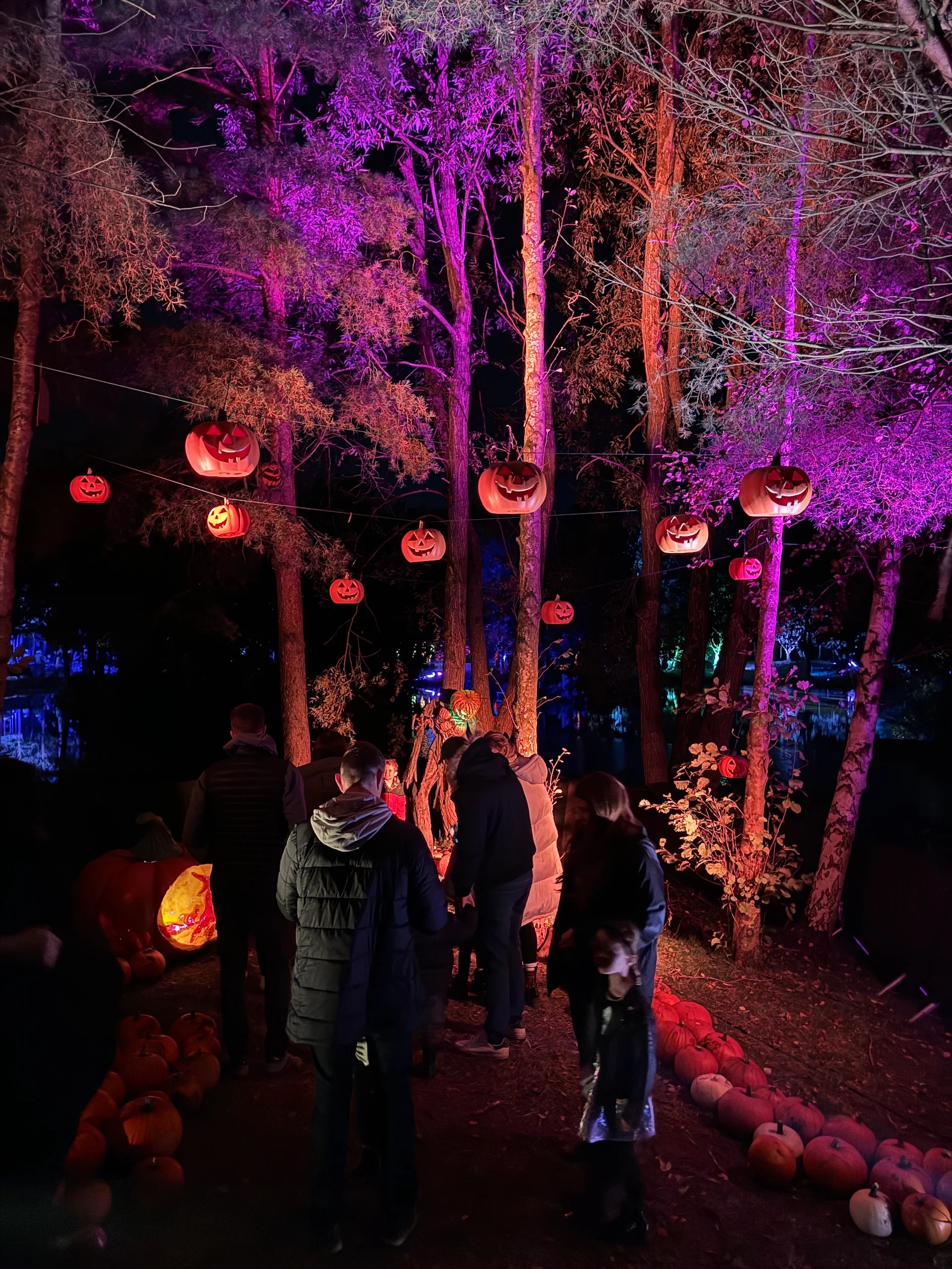 Trail Story | Halloweenville at Partridge Lakes
